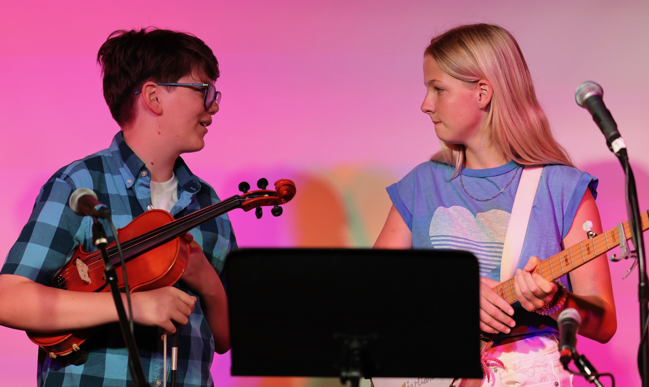 Banjo Farm – American Banjo Museum